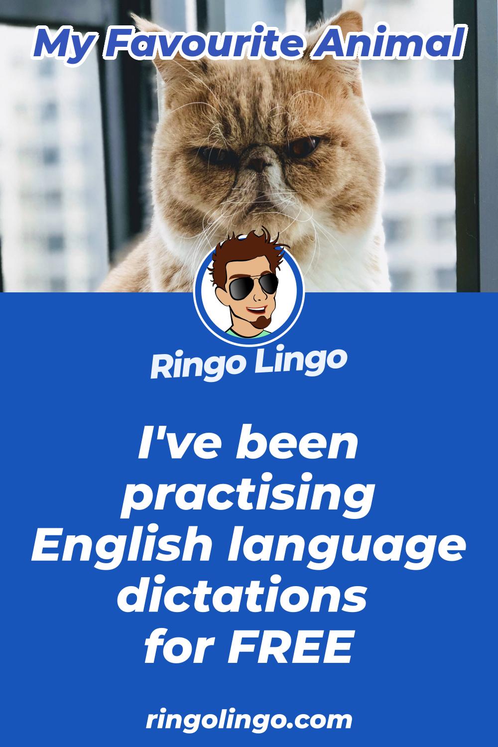 My Favourite Animal – Ringo Lingo