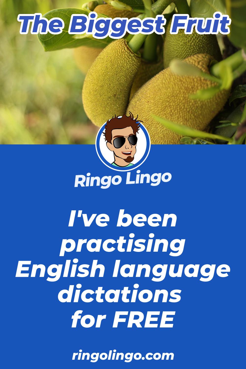 The Biggest Fruit – Ringo Lingo