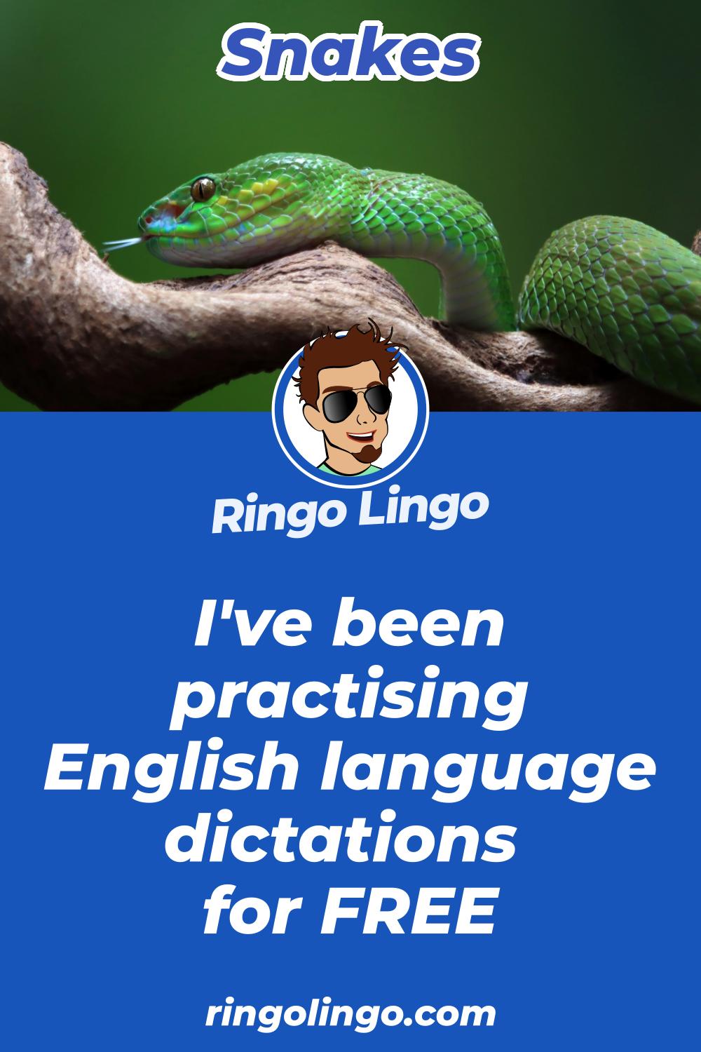Snakes – Ringo Lingo