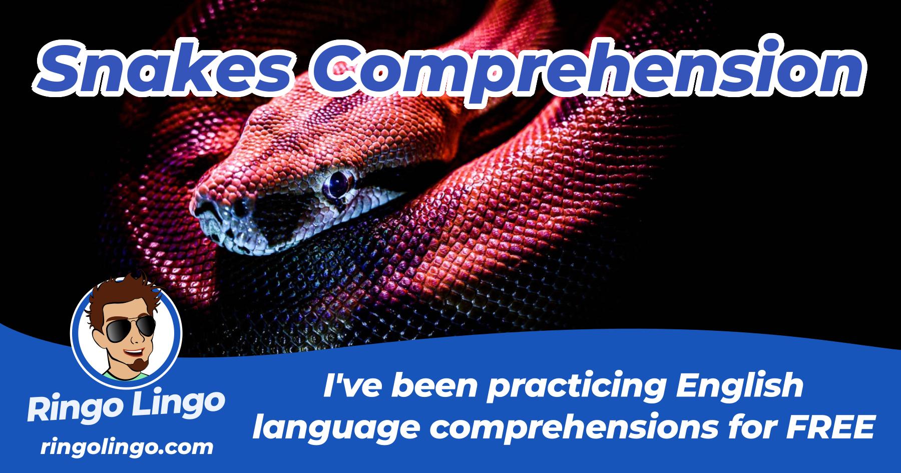 Snakes Comprehension – Ringo Lingo